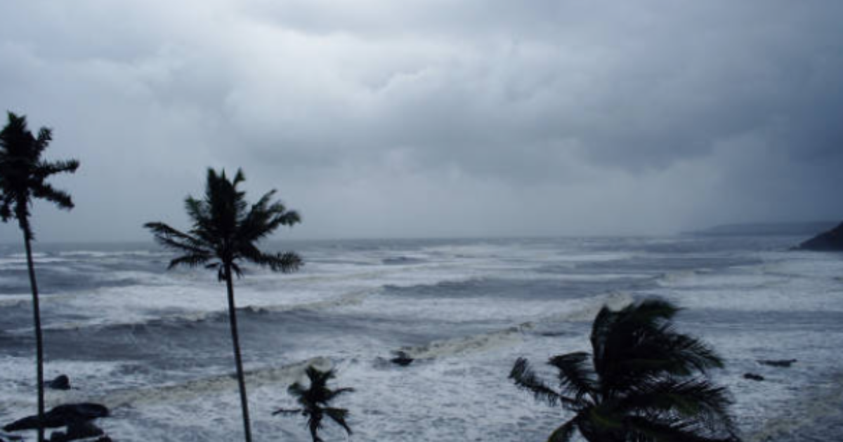 The Role of Roll Formed Metal Panels in… | Machine Matcher